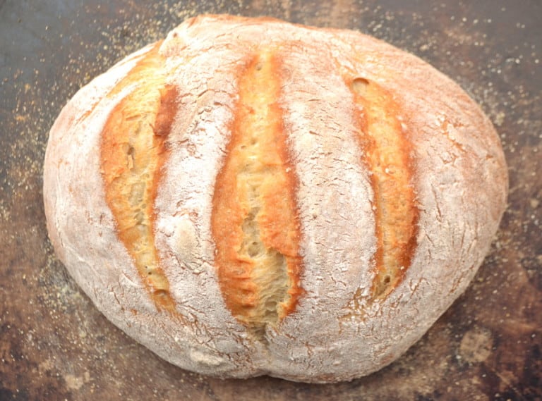 No Knead Bread {Without A Dutch Oven} - Crafty Cooking Mama